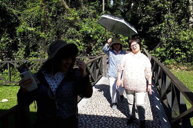 Full-Day Sepilok Orangutan and Proboscis Monkey from Sandakan or Kota Kinabalu - Key Points