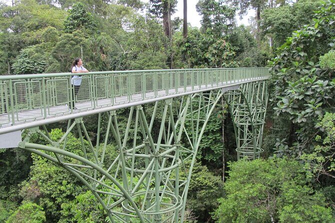 Full Day Sepilok Orangutan and Rainforest Discovery Centre Tour - Introduction: What to Expect from This Full-Day Tour