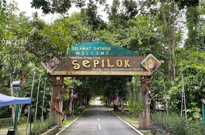 Full Day Sepilok Orangutan and Rainforest Discovery Centre Tour - The Overall Experience: Pros and Cons