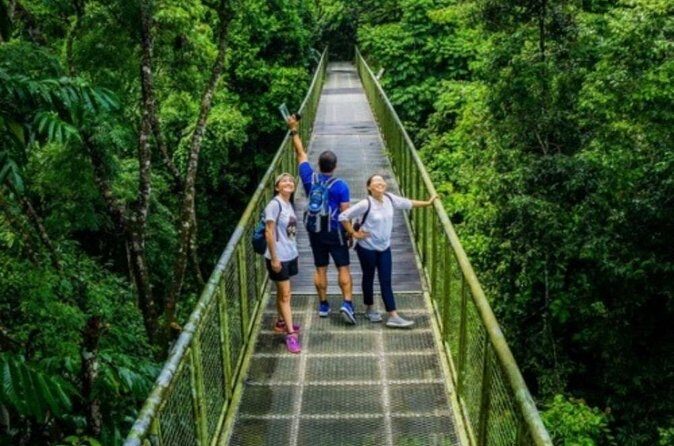 Full Day Sepilok Orangutan and Rainforest Discovery Centre Tour - Who Should Consider This Tour?