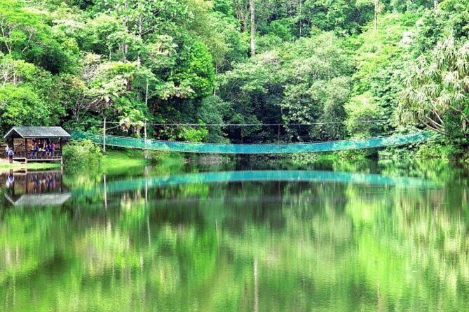 Full Day Sepilok Orangutan and Rainforest Discovery Centre Tour - The Sum Up: Why This Tour Is Worth Considering