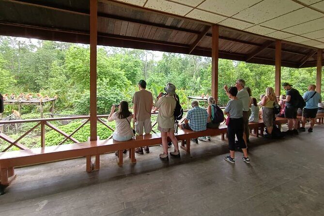 Full-Day Sepilok Orangutan and Sandakan City Trail from Kota Kinabalu - Exploring Sabah’s Wildlife at Sepilok Orangutan Rehabilitation Centre