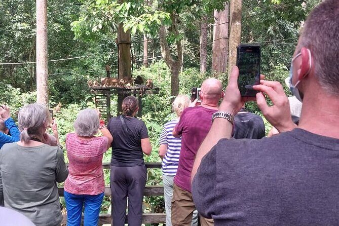 Full-Day Sepilok Orangutan and Sandakan City Trail from Kota Kinabalu - Cost and Value