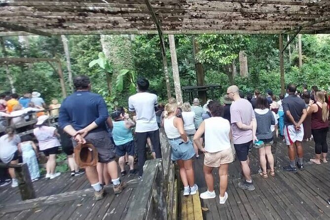 Full-Day Sepilok Orangutan and Sandakan City Trail from Kota Kinabalu - Authenticity and Experience