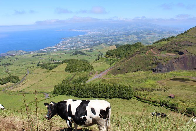 Full Day Sete Cidades and Lagoa do Fogo PRIVATE 4WD Tour with Lunch - The Experience in Detail