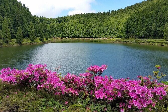 Full-Day Sete Cidades Crater Lake and Fire Crater Lake Private Tour - The Sum Up