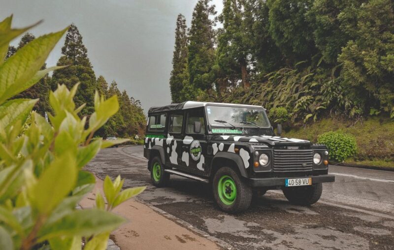Full Day Sete Cidades + Lagoa do Fogo - Why This Tour Works