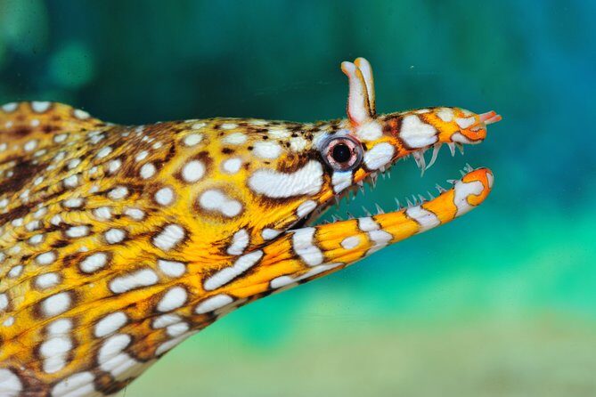 Full-Day Shanghai Aquarium Xintiandi and Jingan Private Tour - Experience the Best of Shanghai in One Day