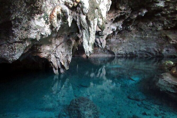 Full-Day Shared Cultural Excursion: Punta Cana to Santo Domingo - Key Points