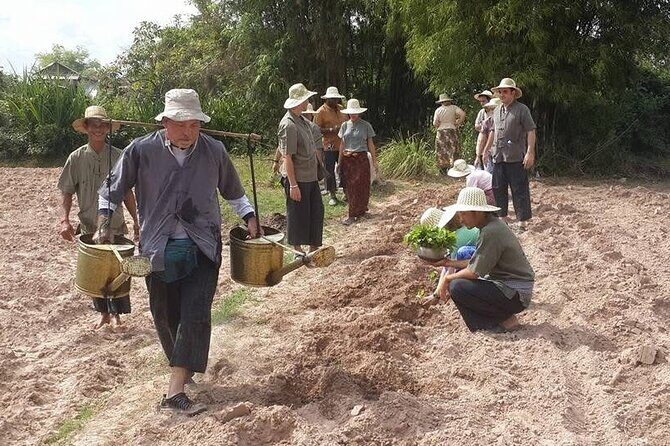 Full Day Siem Reap Farm Tour with Cooking Class and Monk Blessing - Introduction: Why This Tour Stands Out