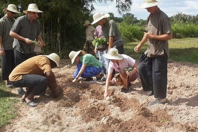 Full Day Siem Reap Farm Tour with Cooking Class and Monk Blessing - The Cooking Class