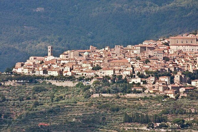 Full Day Siena , Montalcino, Val D'Orcia from Rome - Jumping into the Itinerary: What to Expect on This Day Trip