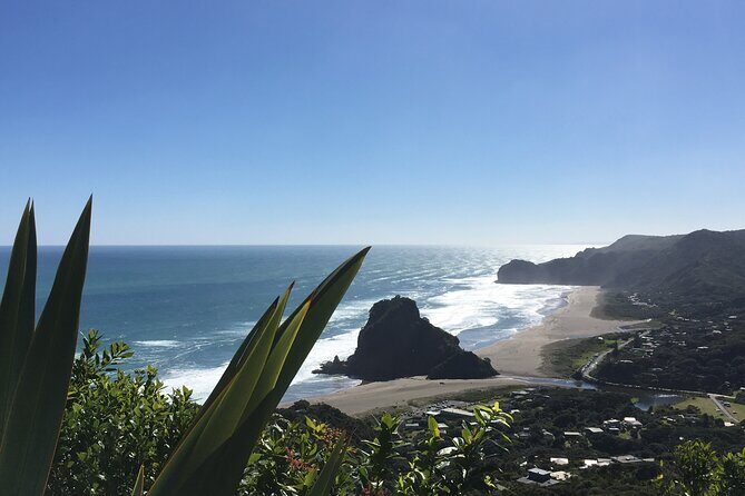 Full Day Sightseeing Tour in Auckland - Key Points