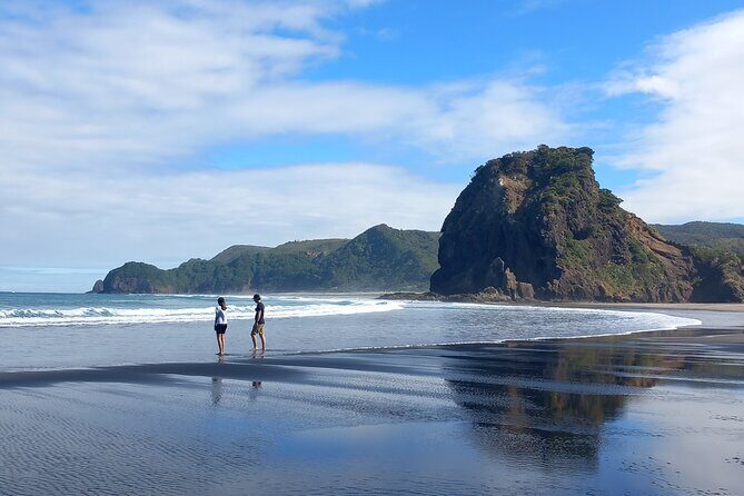 Full Day Sightseeing Tour in Auckland - The Practical Side: What to Expect