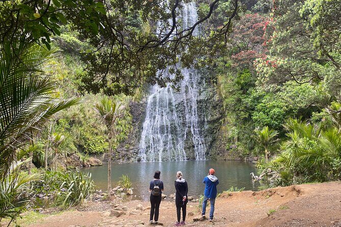 Full Day Sightseeing Tour in Auckland - FAQ