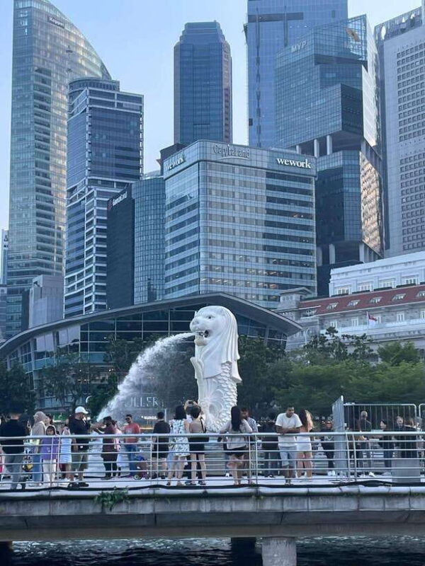 Full day Singapore City Tour with Flyer,GBB and Skypark - Who Will Love This Tour