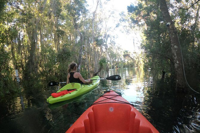 Full Day Single Kayak Rental In Crystal River - Who Will Really Love This Experience?