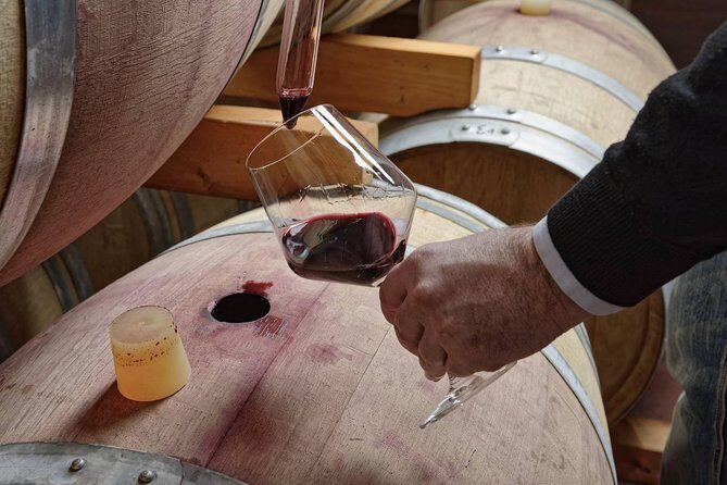 Full Day Small Group Pompeii Tour from Sorrento with Local Wine Tasting - Key Points