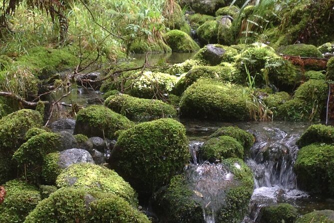 Full-Day Small-Group Routeburn Valley Hike - Key Points