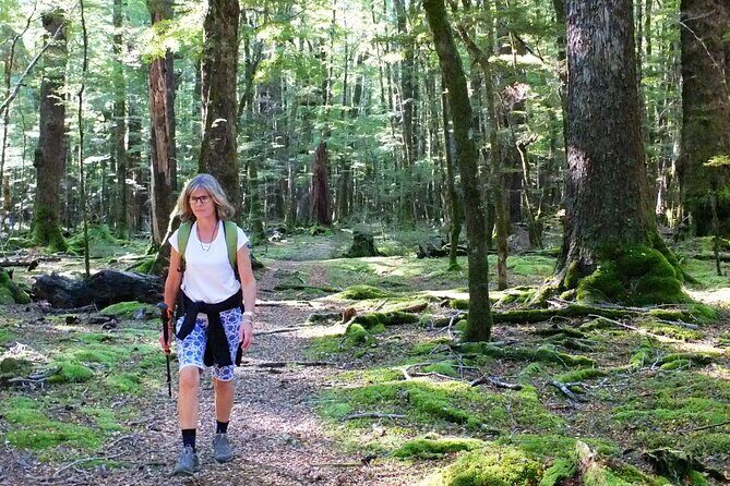 Full-Day Small-Group Routeburn Valley Hike - Authentic Experiences and Traveler Feedback