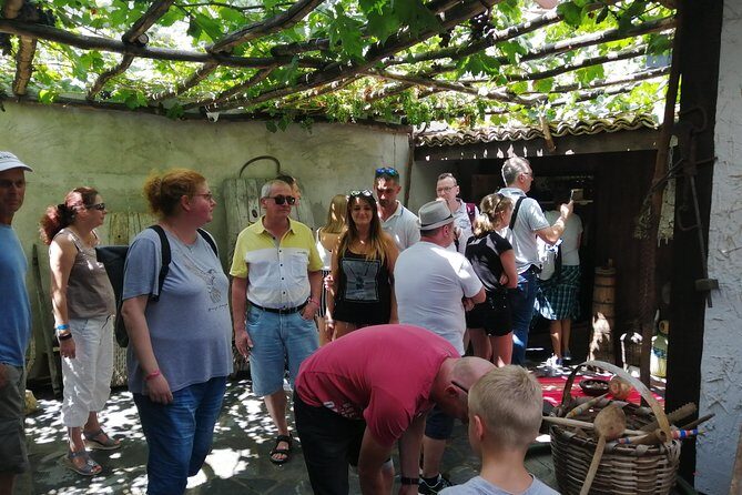 Full-Day Small-Group Tour of Bulgaria by Minivan with Lunch - Analyzing the Value