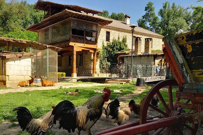 Full-Day Small-Group Tour of Bulgaria by Minivan with Lunch - Who Should Consider This Tour?