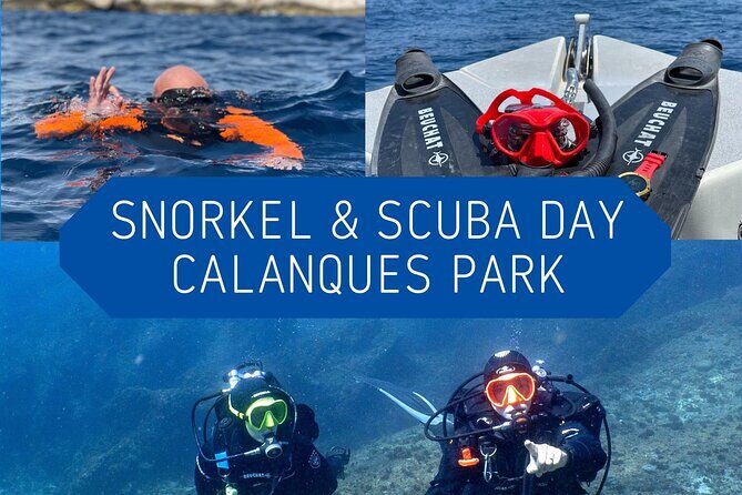 Full-Day Snorkeling and Guided Dive in the Calanques National Park from Marseille - Key Points
