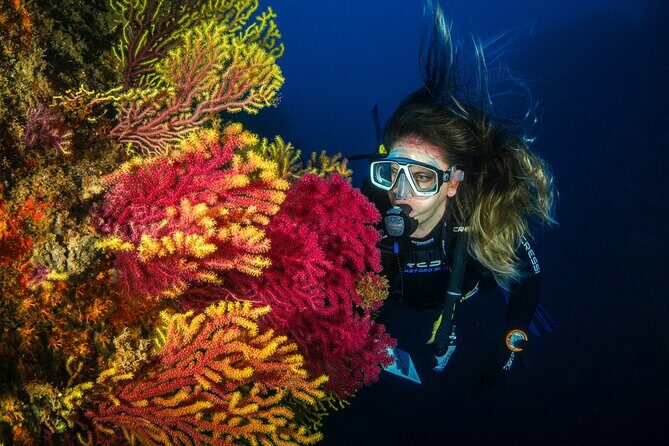 Full-Day Snorkeling and Guided Dive in the Calanques National Park from Marseille - The Experience’s Strengths