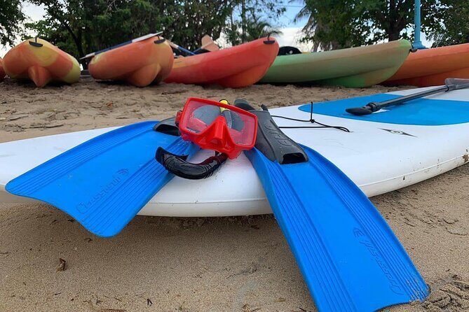 Full-Day Snorkeling Gear Rental in Puerto Rico - Who Will Love This Experience?