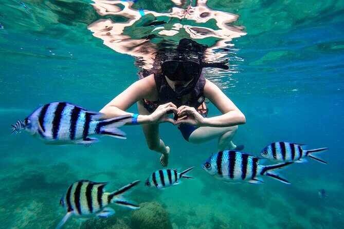 Full Day Snorkeling in Perhentian Island - What the Tour Offers: An Overview
