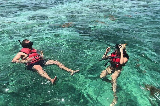 Full-Day Snorkeling Tour to Catalina Island - Full-Day Snorkeling Tour to Catalina Island: An Authentic Caribbean Escape