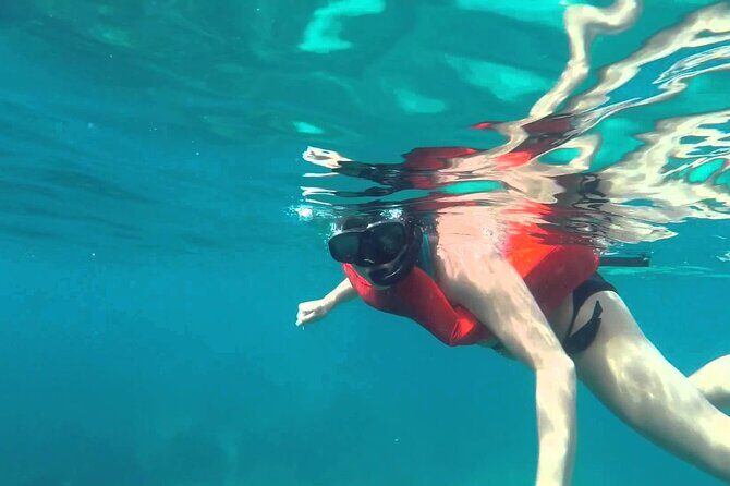 Full-Day Snorkeling Tour to Catalina Island - Key Points