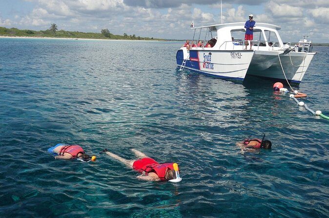 Full-Day Snorkeling Tour to Catalina Island - Who Should Consider This Tour?