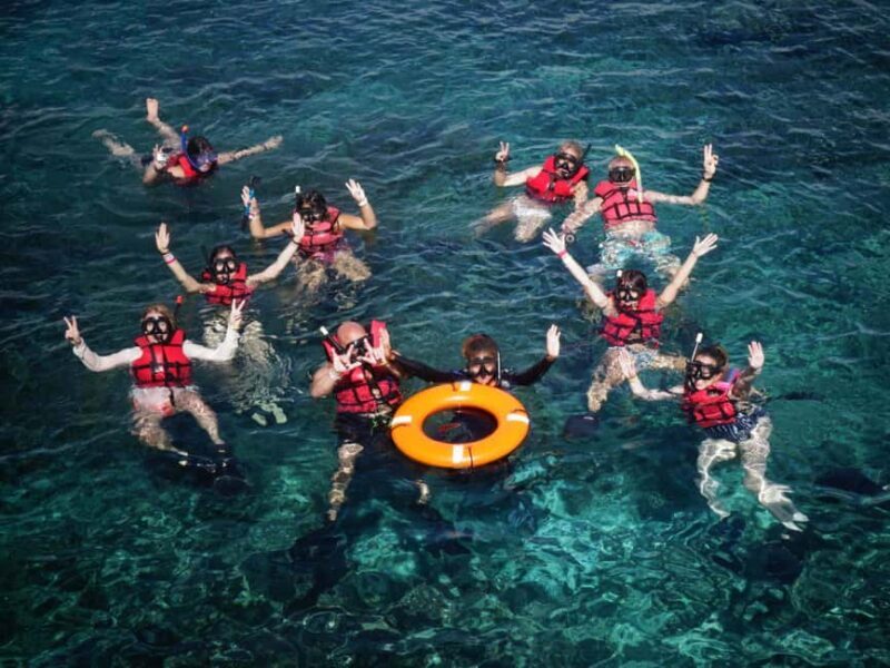 Full-Day Snorkeling Tour to Catalina Island - Key Points