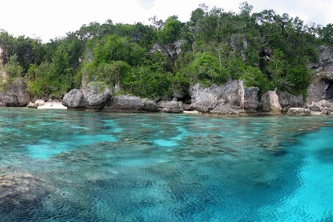 Full Day Snorkelling Cruise in Tranquility Island Resort - Key Points