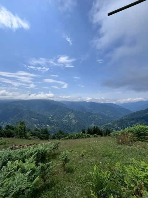 Full Day Snow Tours from Batumi - Key Points