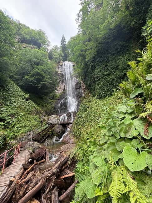 Full Day Snow Tours from Batumi - Who Should Consider This Tour?