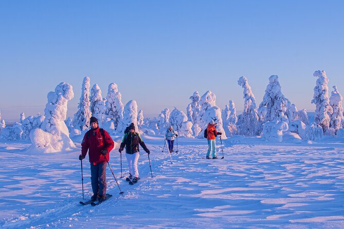 Full-Day Snowshoeing Adventure in Amethyst Mine Pyhä Luosto - Final Thoughts