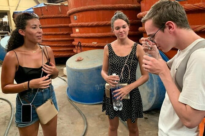 Full-Day Southern Phu Quoc Island Exploration - Exploring Phu Quoc’s South Island: A Balanced Look at the Full-Day Tour