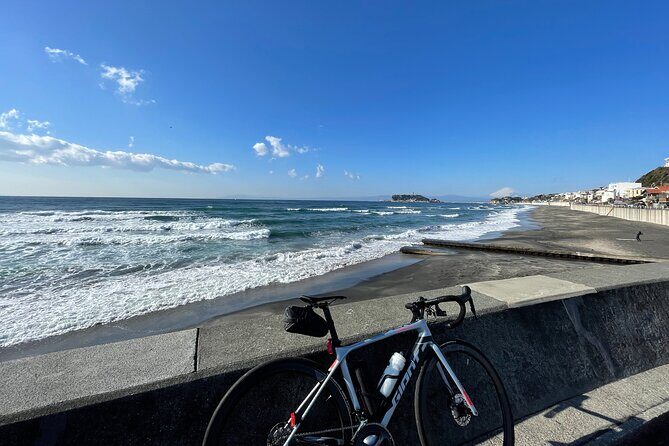 Full-Day Sport Cycle Rental - Navigating the Logistics: What You Need to Know