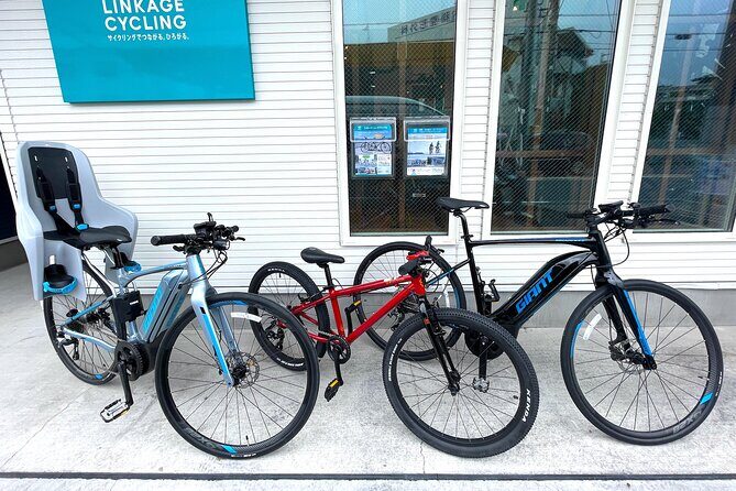 Full-Day Sport Cycle Rental - Who Will Love This Experience?