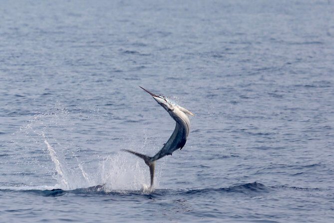 Full Day Sportsman/Enthusiast Charter - What Makes This Fishing Tour Special?