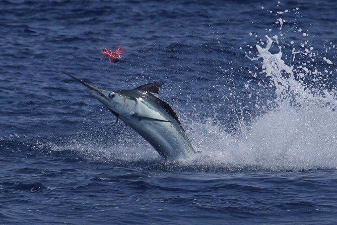 Full Day Sportsman/Enthusiast Charter - Who Should Book This Tour?