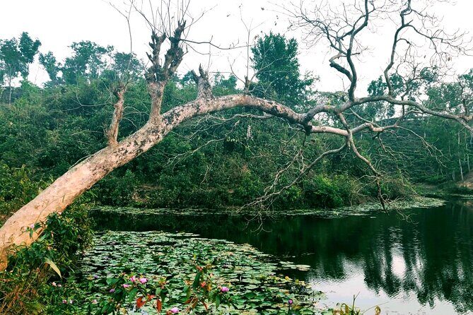 Full Day Sreemangal Tea Garden & National Park Hiking Tour - Who Will Love This Tour?