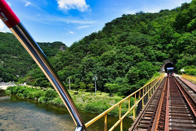 Full Day Strawberry Picking and Rail Bike in Nami Island - Authentic Experiences and Practical Tips