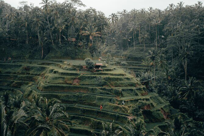 Full Day Surface of Ubud Private Tour - The Sum Up