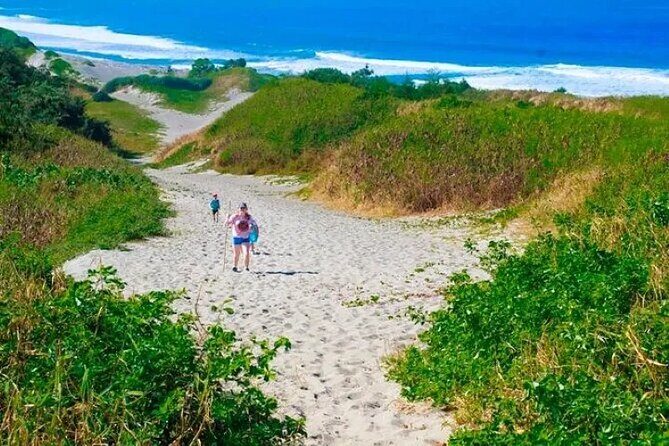 Full Day Suva City Tour-Visit to Museum, Markets & Sightseeing - The Sum Up