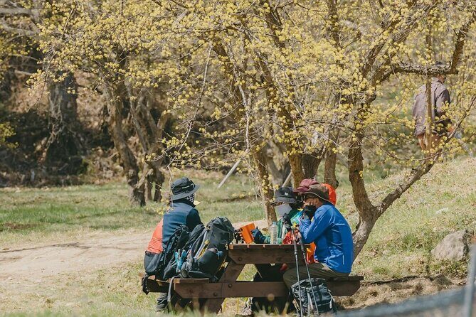 Full Day Suwon Hwaseong and Yellow Spring Flower Festival Tour - Return to Seoul