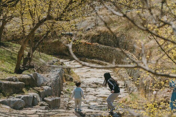 Full Day Suwon Hwaseong and Yellow Spring Flower Festival Tour - The Value Proposition