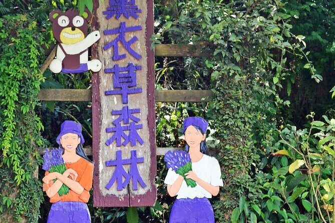 Full-Day Taichung and Lavender Cottage Private Tour with Lunch - Why This Tour Offers Great Value